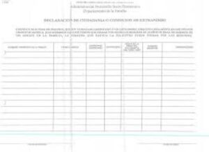 Formulario ADSEF 153 Declaración de Ciudadanía o Condición de ...